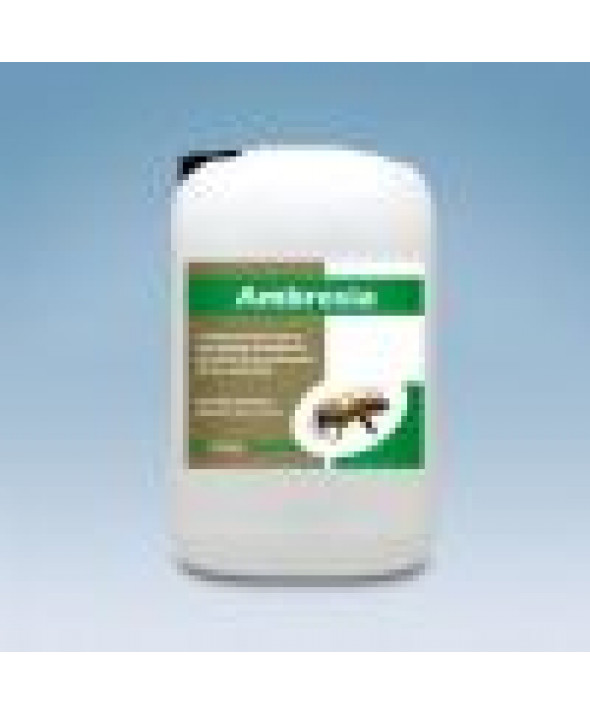 Ambrosia Bee Feed Syrup (12.5kg) | Northern Bees