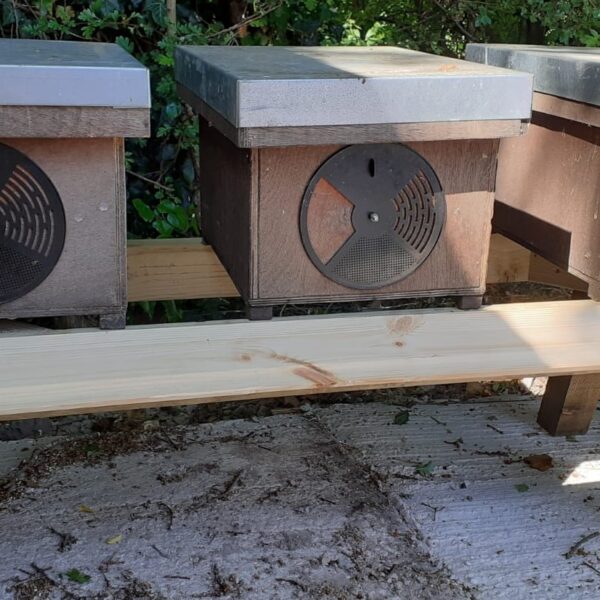 Double Hive Stand - Northern Bees